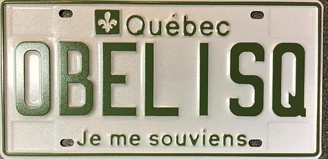 Custom license plate / vanity plate name for your Cybertruck? | Tesla ...