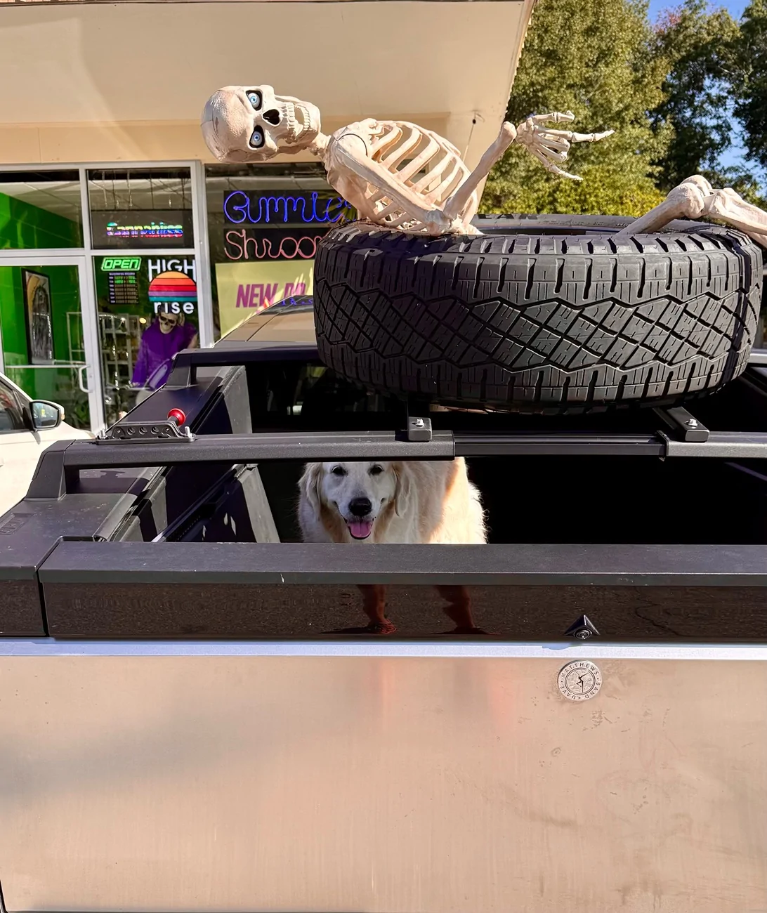 💀Boo🐶 | Tesla Cybertruck Forum - Cybertruck Owners Club