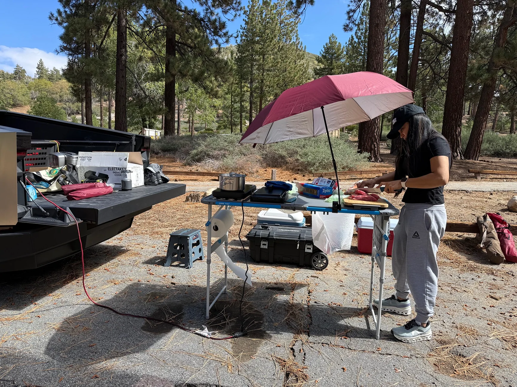 What portable power station do you use when CT camping? | Tesla ...