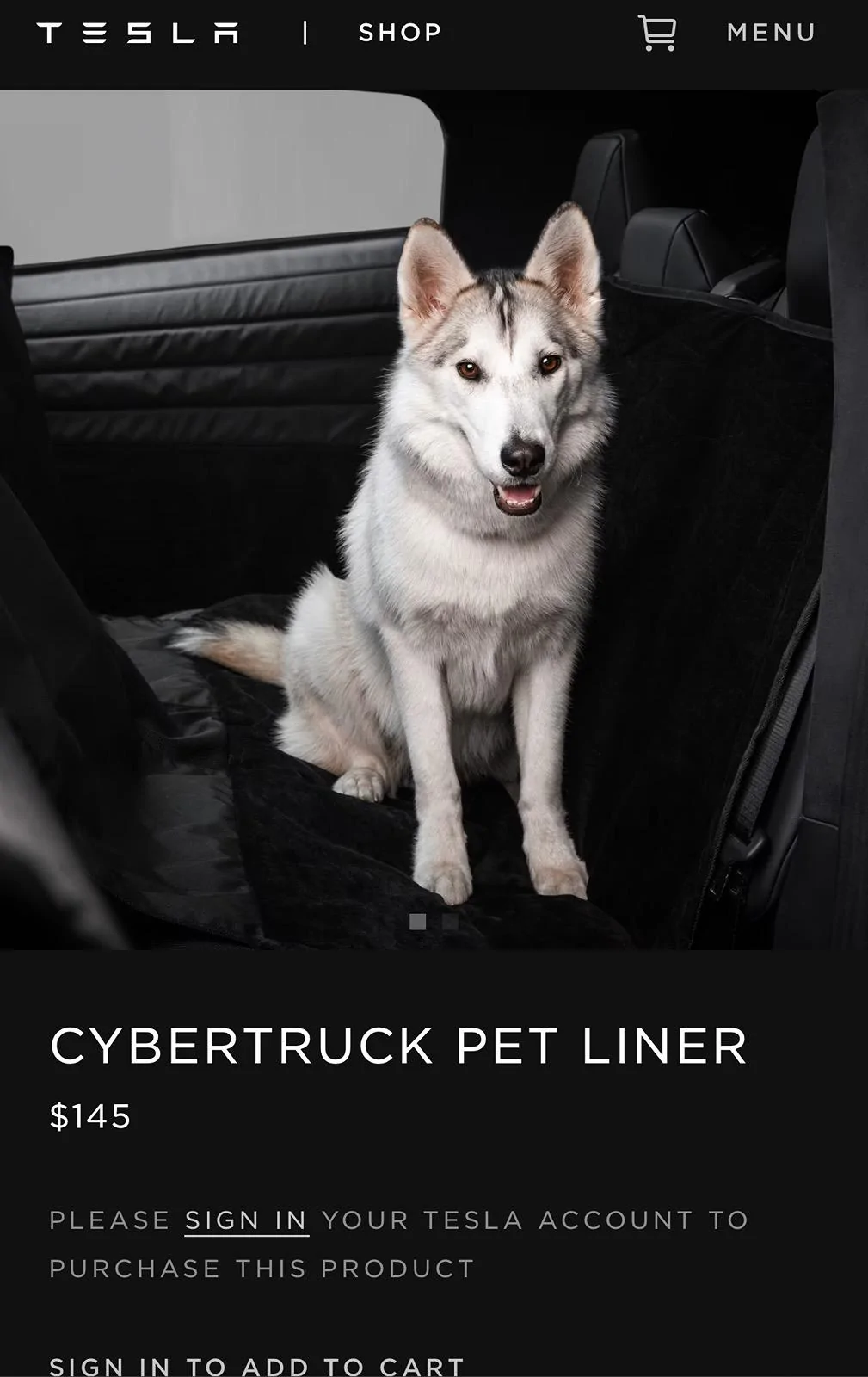 Best solution for small dogs in back seat area of the Cybertruck ...