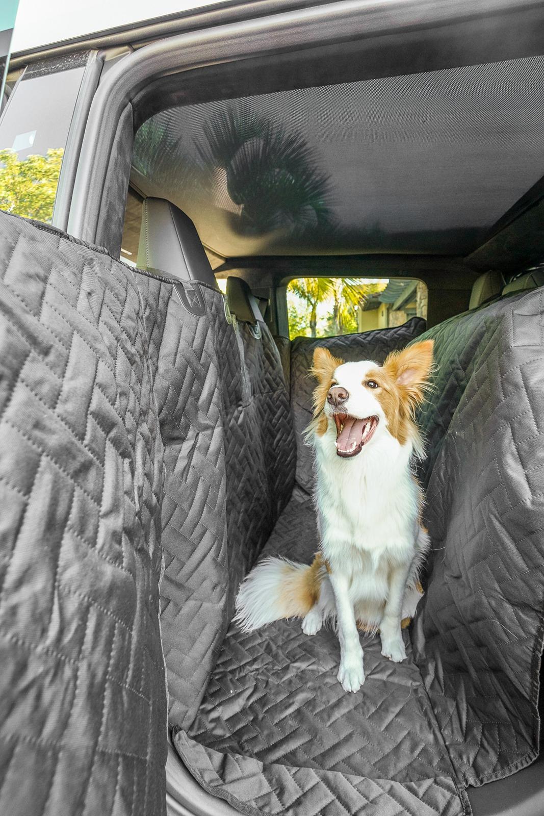 Introducing the MARSACCS Cybertruck Pet Cover for Dogs & Pets – Share ...