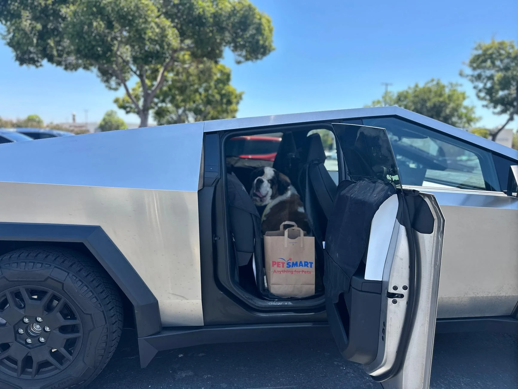 Pet Friendly Accessories for Your Cybertruck - What Would You Like to ...