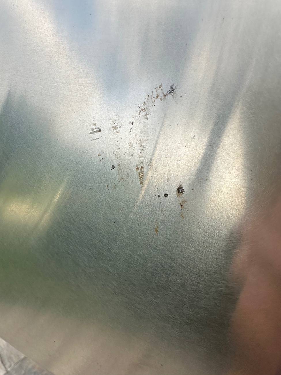 Bird Poop Stain! | Tesla Cybertruck Forum - Cybertruck Owners Club
