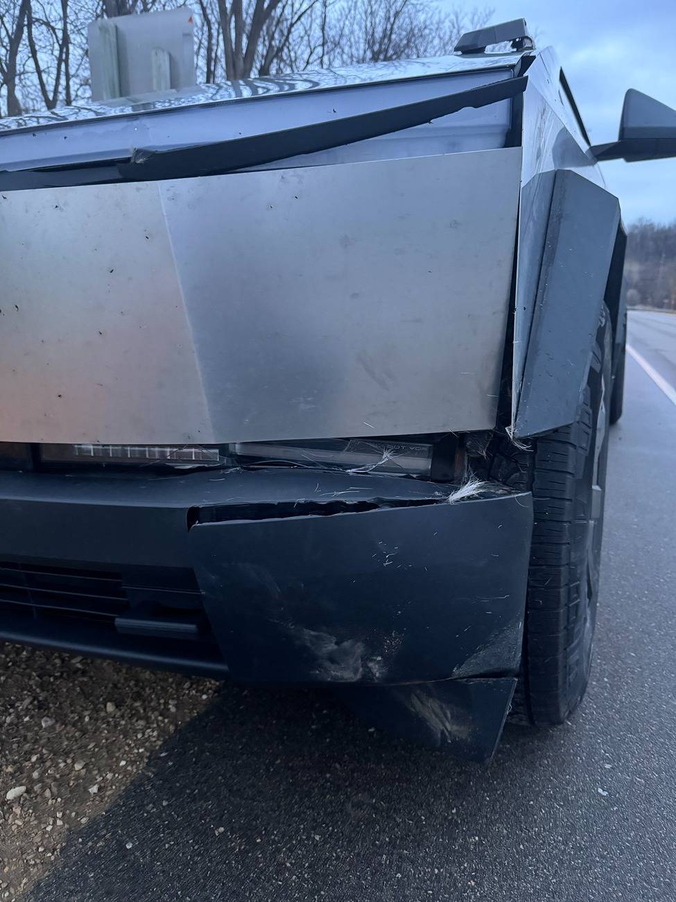 Cybertruck - 1 Deer - 0; Deer strike at 60 MPH (Video Added & Graphic ...