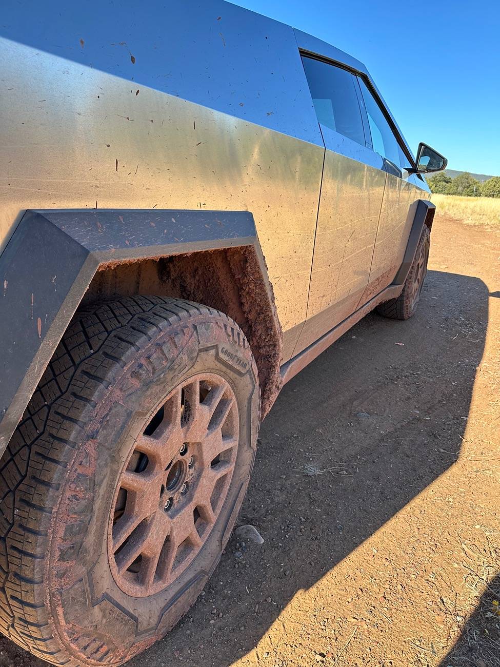 Finally got stuck! | Tesla Cybertruck Forum - Cybertruck Owners Club